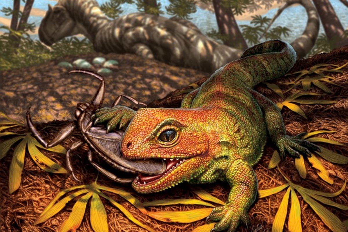 Fossil of Ancient Lizard Ancestor Found in Wyoming - RVIVR