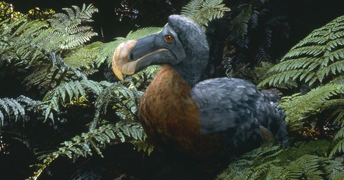 The Woke Revolution Is Erasing the Past - RVIVR