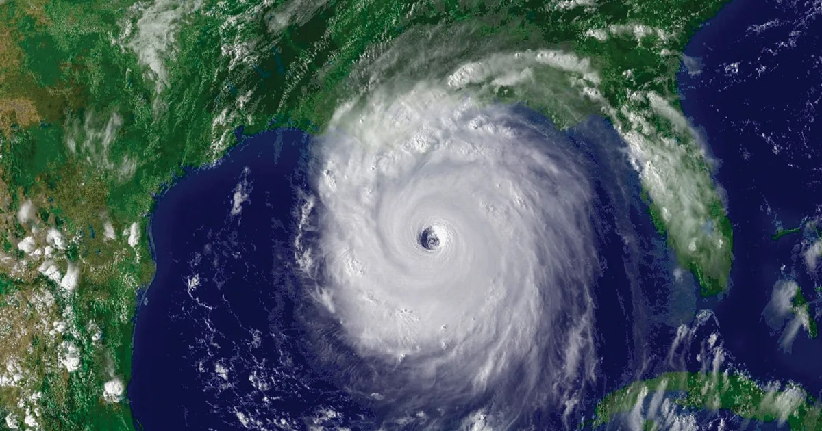 A Katrina Odyssey: A Reporter Recounts Devastation, Confusion, Moments ...
